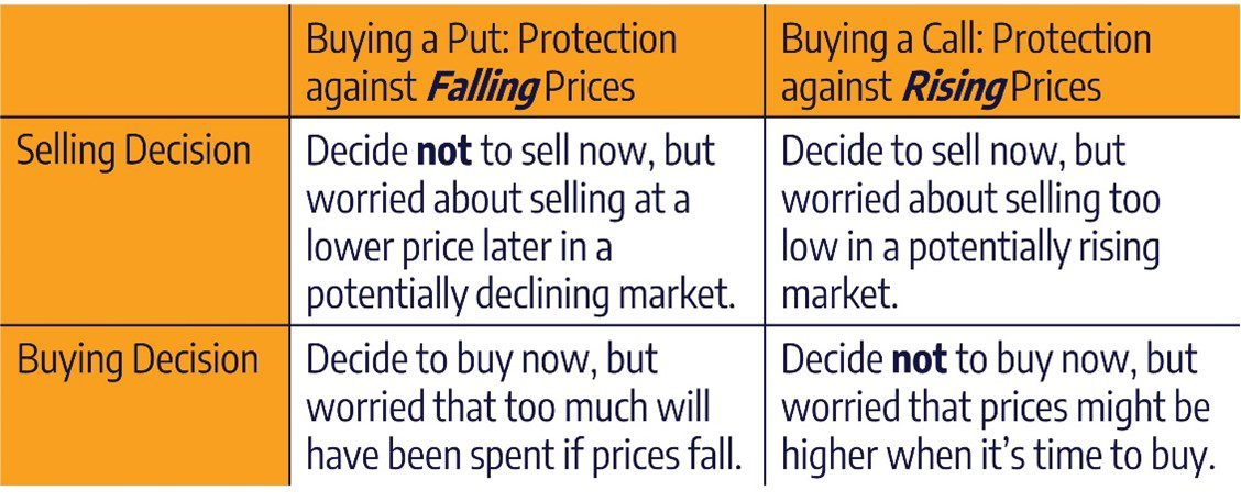 Option Basics: Protection from Buying and Selling Remorse - Total Farm ...